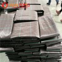 China Extruding PP Woven Membrane PE Ground Cover Weed Mat for Anti Grass Weed Control for sale