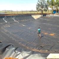 China 0.75mm Blue HDPE Geomembrane for Shrimp Pond and Fish Farming at Affordable Cost for sale