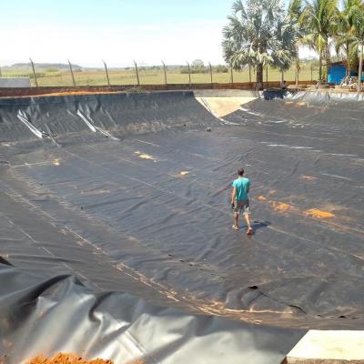 China 0.75mm Blue HDPE Geomembrane for Shrimp Pond and Fish Farming at Affordable Cost for sale