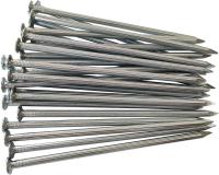 China 10inch Common Nail Galvanized Metal Spiral Nails for Artificial Grass Landscape Stake for sale