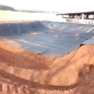 China Shandong HDPE Geomembrane 0.5mm for Pond Liner Fish Farms Pound Pool Landfill for sale