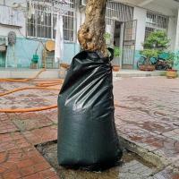 China Tree Watering Bag Drip Irrigation System Saving Water and Supporting Root Development for sale