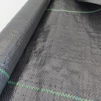 China 40gsm-230gsm Agriculture PP Ground Cover Fabric for Weed Control in Strawberry Garden for sale