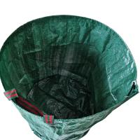 China PE Garden Leaf Waste Bag for Lawn and Leaf Winter Debris Management Solution for sale