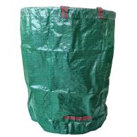 China PE Garden Leaf Waste Bag for Lawn and Leaf Winter Debris Management Solution for sale