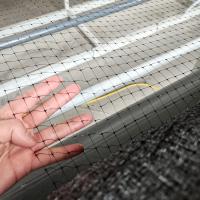 China 12gsm PP Plastic Net Mesh for Chicken Anti-Bird Netting in Garden Orchard and Vineyard for sale