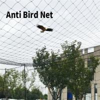 China Anti-bird Netting Mesh for Chicken in Garden Orchard Vineyard BOP PP Plastic 2cm Mesh for sale