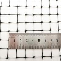 China Protect Your Garden with Cutting Plastic Net Agriculture Anti Bird Net UV 25g/m2 for sale