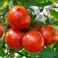 China Protect Your Garden with Cutting Plastic Net Agriculture Anti Bird Net UV 25g/m2 for sale