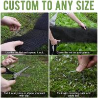 China Protect Your Garden with Cutting Plastic Net Agriculture Anti Bird Net UV 25g/m2 for sale