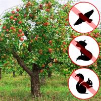 China Protect Your Garden with Cutting Plastic Net Agriculture Anti Bird Net UV 25g/m2 for sale