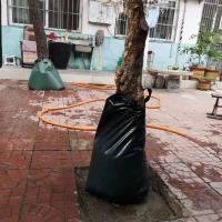 China Tree Watering Bag 20 Gallon Reinforced PE Portable Drip Irrigation System for Plants for sale