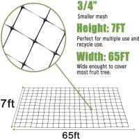 China 8-100GSM Black PP Plastic Stretch Anti-Bird Netting for Chicken Farm Fence and Deer Nets for sale