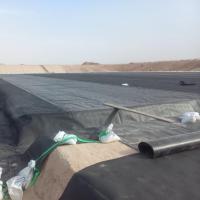 China Sale 0.5mm HDPE Geomembrane Sheet for Large Plastic Fish Ponds Farm Tank Width 2m-8m for sale
