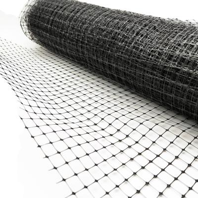 China Plastic Poultry Aviary Netting for Thailand Chicken Cage and Bird Protection for sale