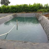 China GB/ASTM GRI-GM13 Standard HDPE Geomembrane Liner for Fish Farming Waterproofing Material for sale
