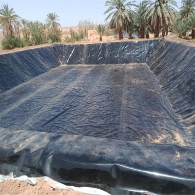China Onsite Installation Service for ASTM Standard Smooth HDPE Geomembrane Pond Pool Liner for sale