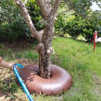 China High Surface Hardness Tree Watering Bag for Automatic and Adjustable Drip Irrigation for sale