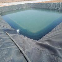 China Chinese Design Style Water Pond Plastic Polyethylene Geomembrane Liner for Fish Pond for sale