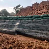 China HDPE One-Way Plastic Geogrids for Uniaxial Geogrids Highway Subgrade Retaining Wall for sale