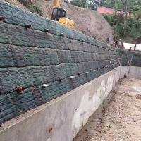 China HDPE One-Way Plastic Geogrids for Uniaxial Geogrids Highway Subgrade Retaining Wall for sale