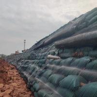 China HDPE One-Way Plastic Geogrids for Uniaxial Geogrids Highway Subgrade Retaining Wall for sale