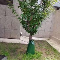 China Green 2 Packs 15 Gallon Slow Release Self Drip Irrigation Tree Watering Bag CE/ISO Approved for sale