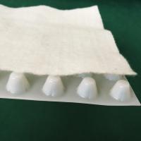China Hotel Drainage Board with Geotextile HDPE Dimple Composite CE/ISO/ISO14001 Certified for sale