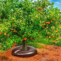 China 15 Gallon Extremely Sturdy PVC Watering Bag Perfect for Tree and Shrubs Irrigation for sale
