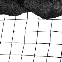 China CE ISO Certified Custom UV Blocked Agricultural Deer Fence PP Mole Nets for Anti-Bird for sale