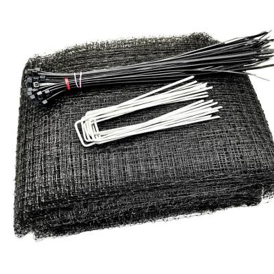 China PP Anti Bird Netting Ideal for Garden Vegetables Fruit Plants and Ponds 6.8FT X 30FT for sale