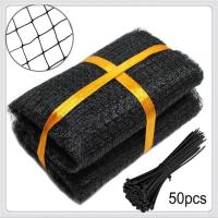 China PP Anti Bird Netting Ideal for Garden Vegetables Fruit Plants and Ponds 6.8FT X 30FT for sale