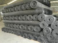 China 1-6m Width Plastic Geogrid for High Strength Soil Stabilization of Biaxial Driveway for sale