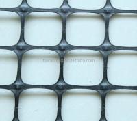 China 1-6m Width Plastic Geogrid for High Strength Soil Stabilization of Biaxial Driveway for sale