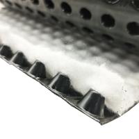 China Earthwork Products 8mm HDPE Dimple Drainage Board With ISO9001 Certification for sale