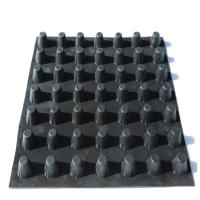 China Earthwork Products 8mm HDPE Dimple Drainage Board With ISO9001 Certification for sale