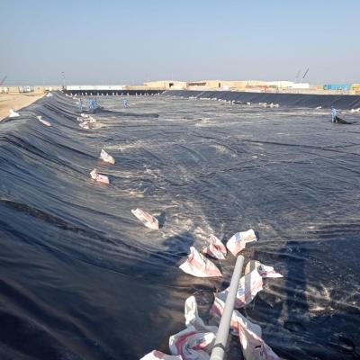 China 2m-8m Width HDPE Dam Liners 1mm Geomembrane Liner for Aquaculture Fish Farm Sale for sale