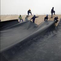 China 1mm 0.5mm 1.5mm 2mm Hdpe Geomembrane for Plastic Fish Shrimp Pond Liner Design Style for sale