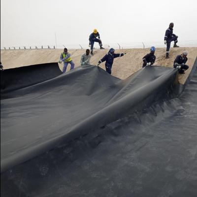 China 1mm 0.5mm 1.5mm 2mm Hdpe Geomembrane for Plastic Fish Shrimp Pond Liner Design Style for sale