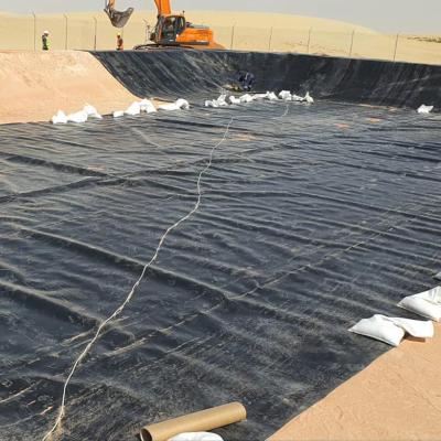 China 0.4mm Thickness Hdpe Geomembrane Fish Farm Liner for Contemporary Pool Construction for sale
