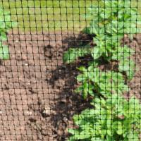 China Customized Length PP Agricultural Post Horticultural Bop Garden Net Deer Rabbit Mesh Fence CE ISO for sale