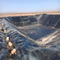China Chinese Design Style 2mm HDPE Geomembrane for Landfill Liner Dam Liner at Competitive for sale
