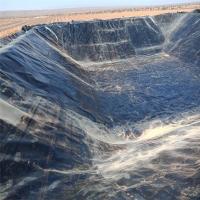 China Chinese Design Style 2mm HDPE Geomembrane for Landfill Liner Dam Liner at Competitive for sale