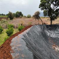 China Chinese Design Style HDPE Geomembrane for Aquaculture Fish Farm Dam Landfill Pond Liner for sale