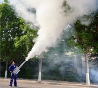 China Metal Garden and Agriculture 4 Stroke Gasoline Thermal Fogging Machine at Competitive for sale