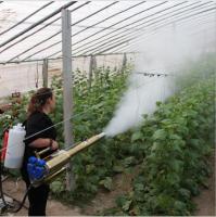 China Metal Garden and Agriculture 4 Stroke Gasoline Thermal Fogging Machine at Competitive for sale