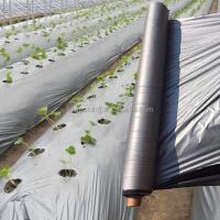 China Silver Plastic Mulch Film for Yield Agricultural Cultivation of Tomatoes and Potatoes for sale