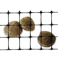 China 40-40kn PP Biaxial Plastic Geogrid for Road Construction and Foundation Reinforcement for sale