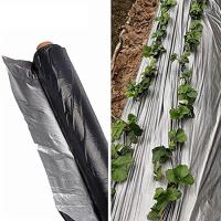 China Customized Length Agricultural Ground Cover Film for Pineapple Growing Life Span 1-2 Years for sale