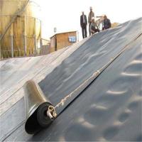 China Black Plastic Sheet Pond Liner Waterproofing HDPE Geomembrane 0.2mm/0.5mm/1.0mm/2.0mm for sale